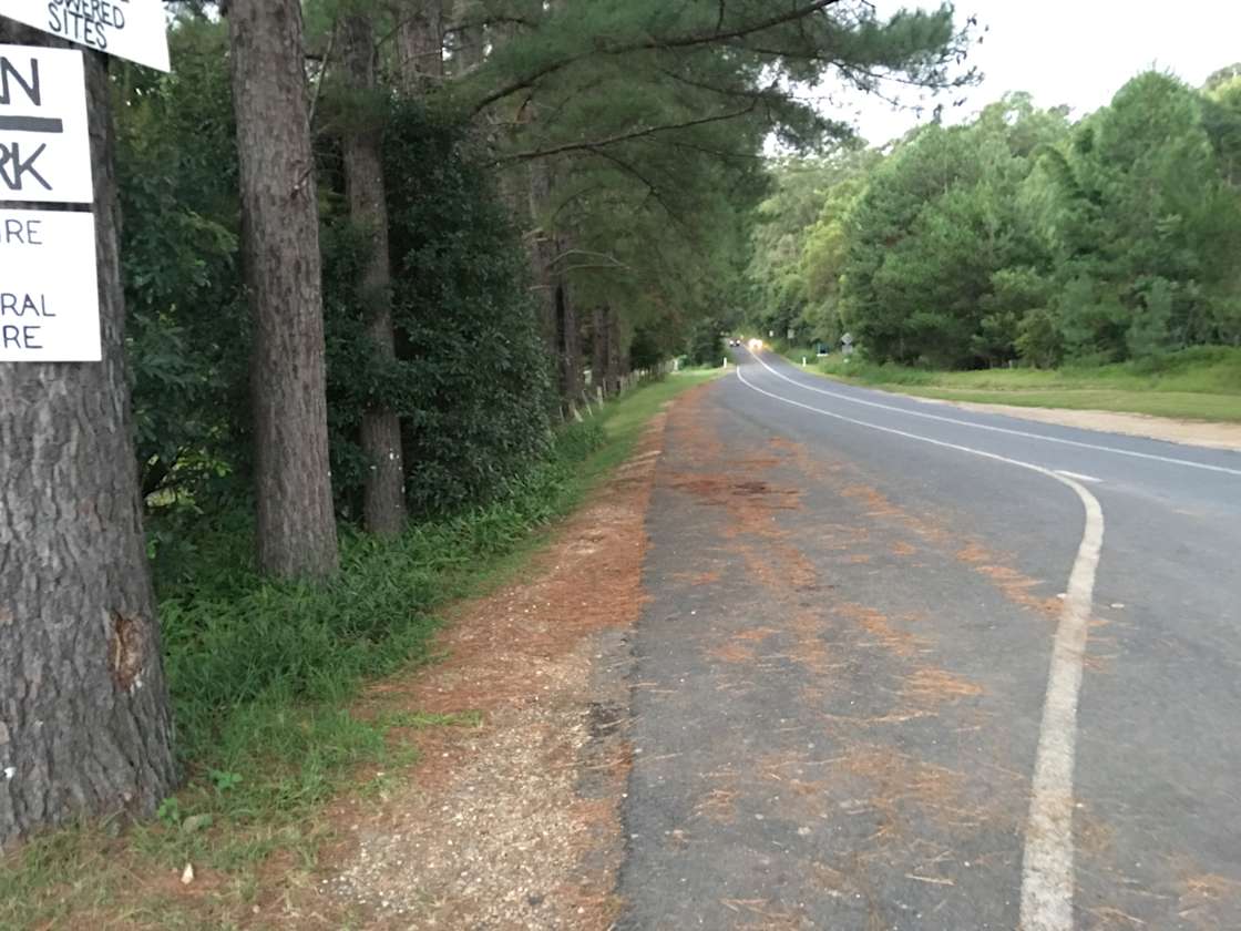 Mt Burrell Camping - Hipcamp in Mount Burrell, New South Wales