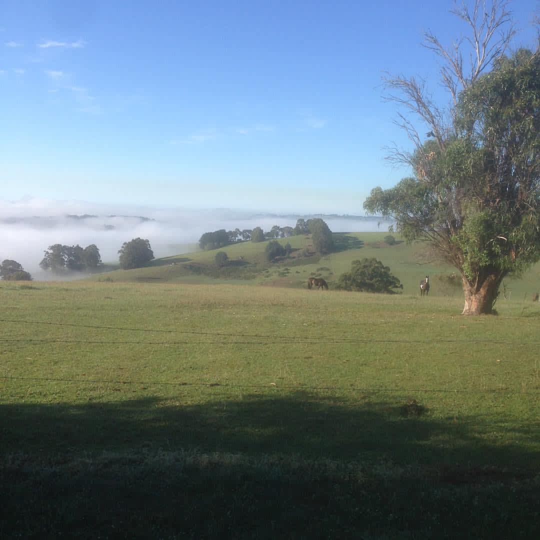 Tonka's Place - Hipcamp in Narracan, Victoria