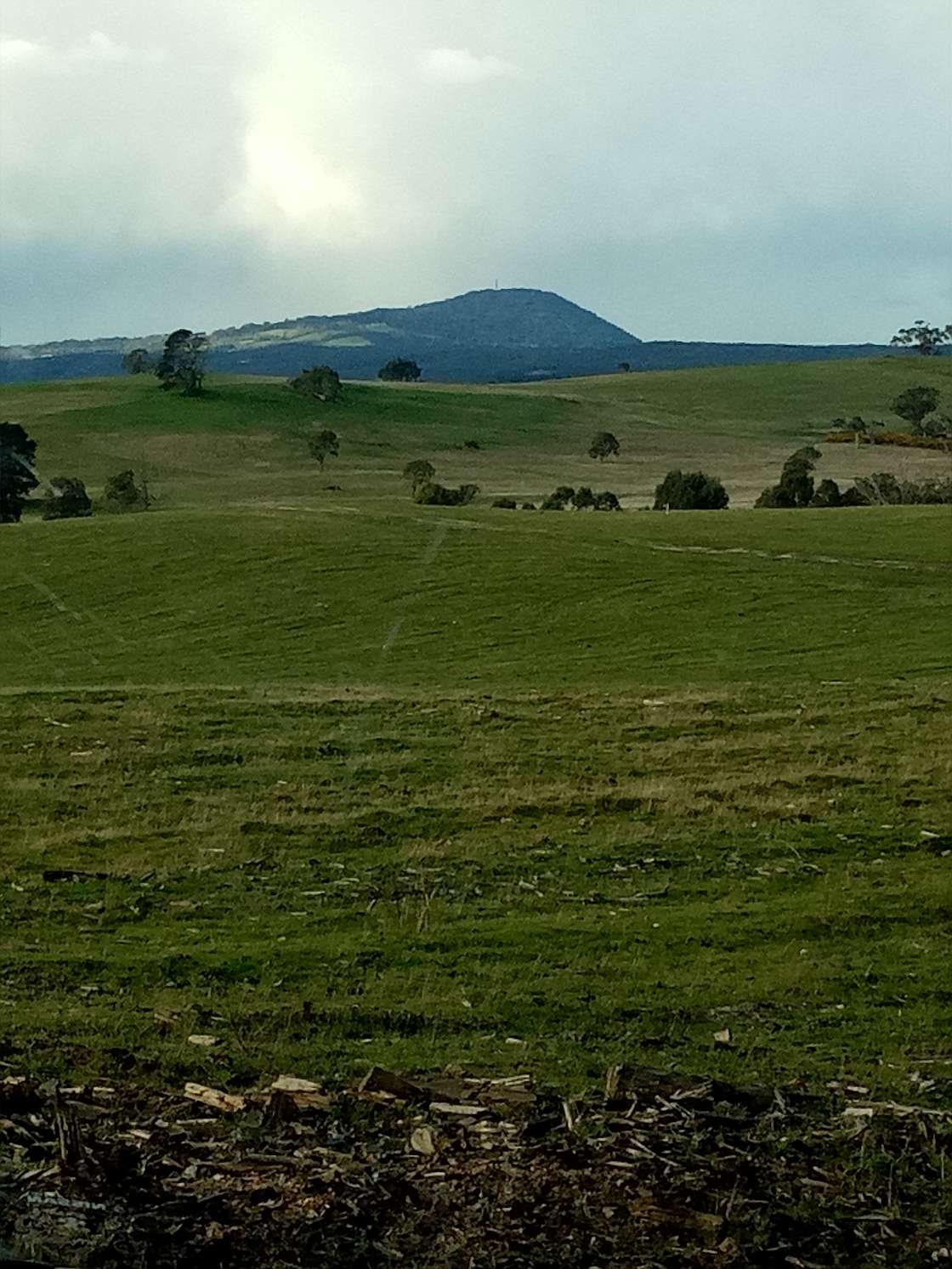Carbine Grove - Bring your horse! - Hipcamp in Garibaldi, Victoria
