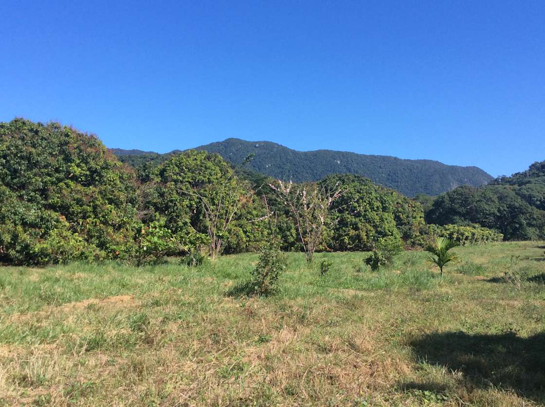 Auravale - Hipcamp in Bloomfield, Queensland