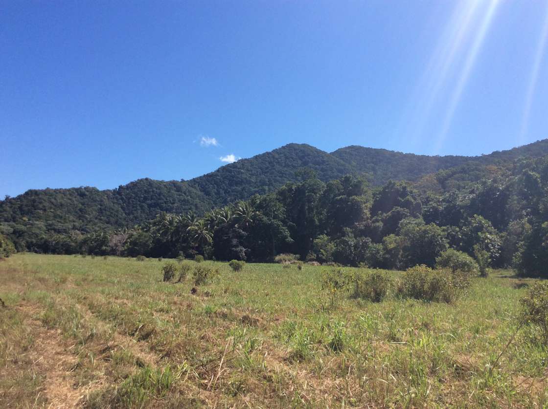 Auravale - Hipcamp in Bloomfield, Queensland
