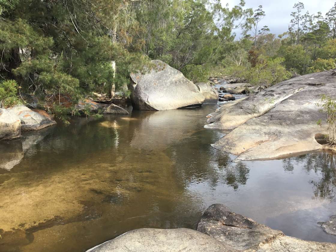 Walsh River Wildlife & Birdwatching Retreat - Hipcamp in Watsonville ...