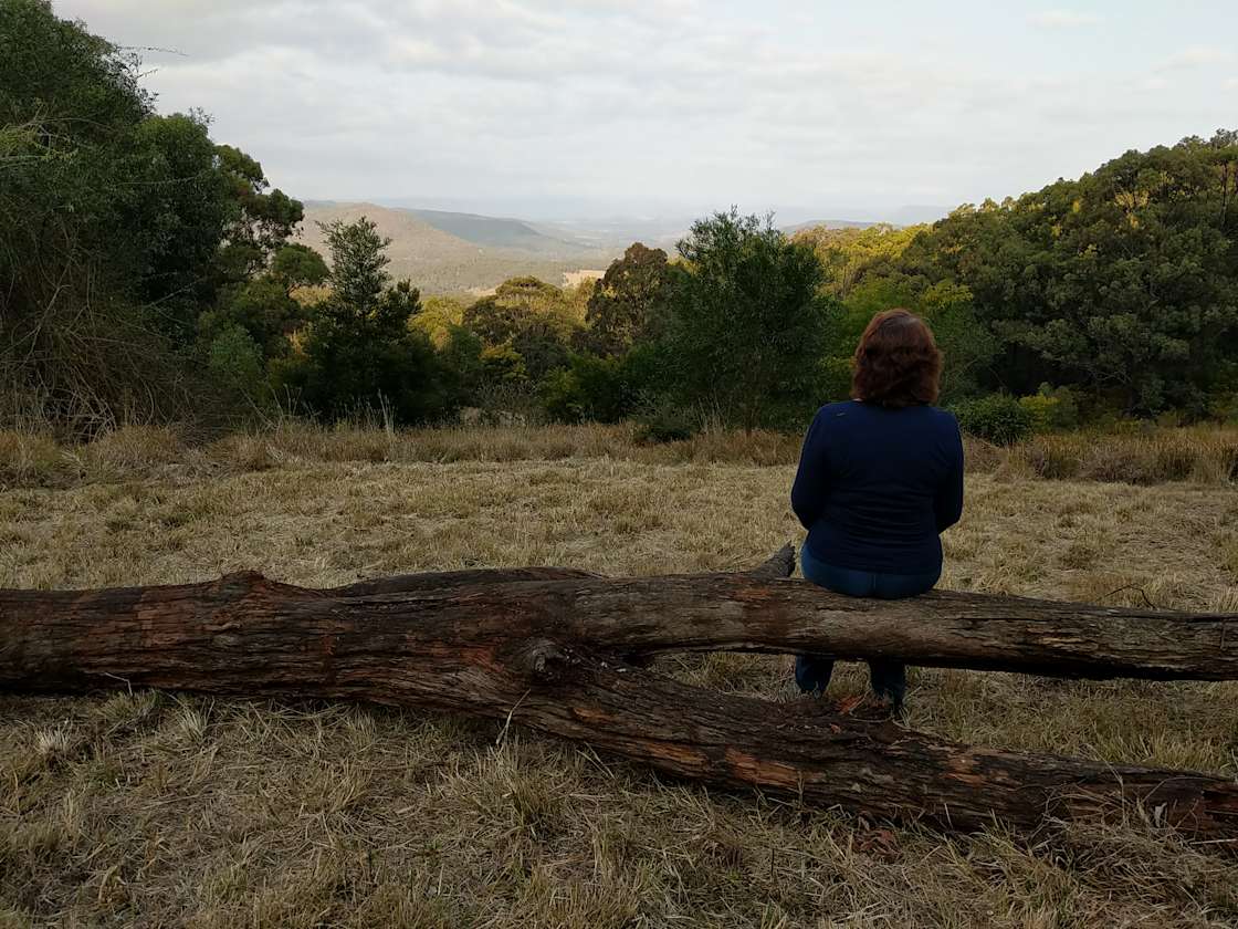 Kingsland Camping Mt. Maroon - Hipcamp in Maroon, Queensland