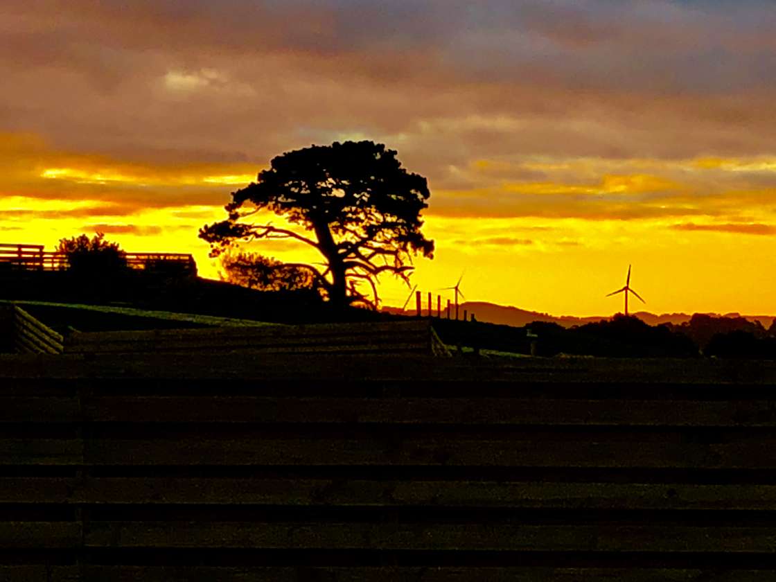 One Tree Hill - Hipcamp in Agnes, Victoria