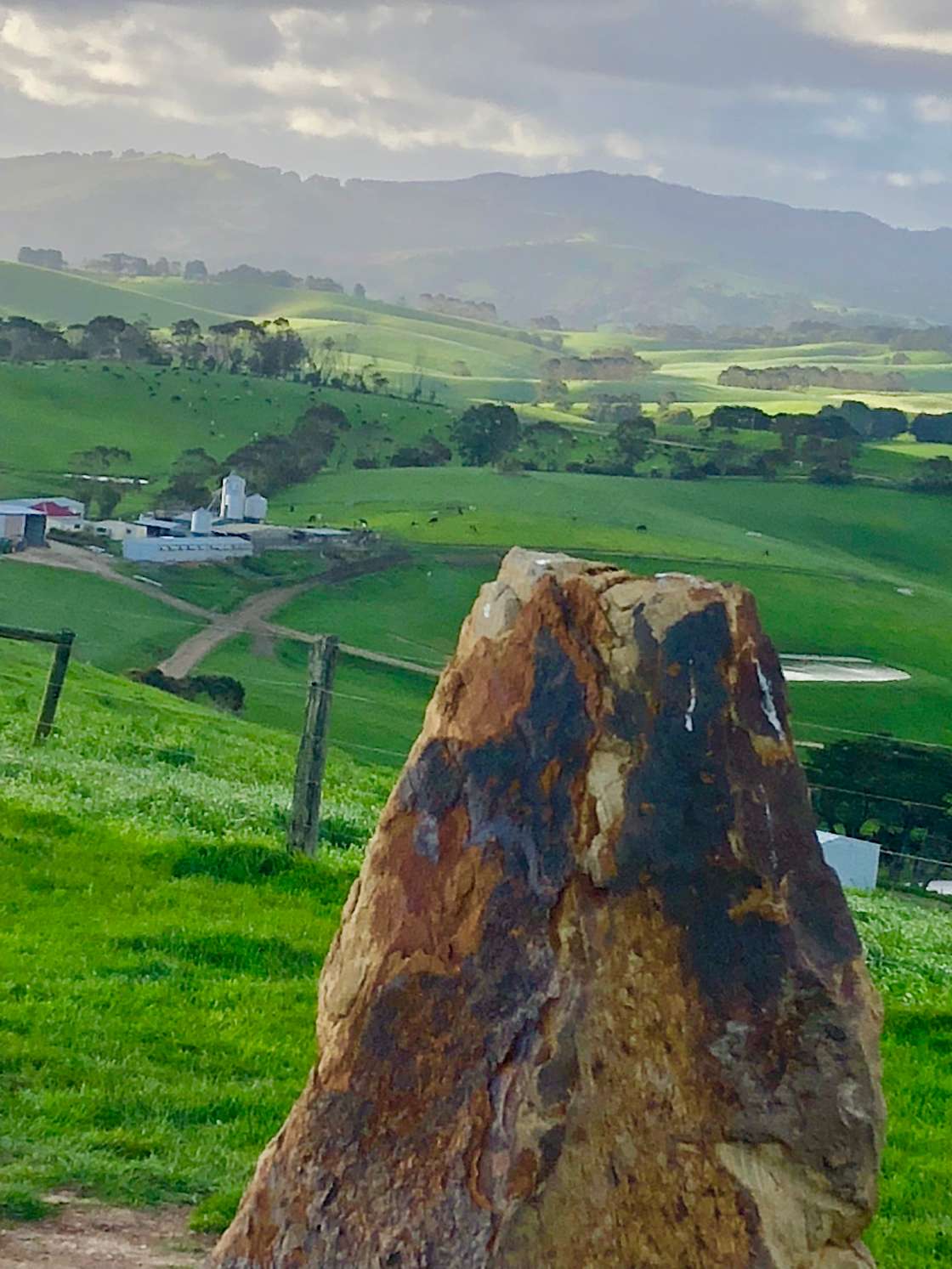 One Tree Hill - Hipcamp in Agnes, Victoria