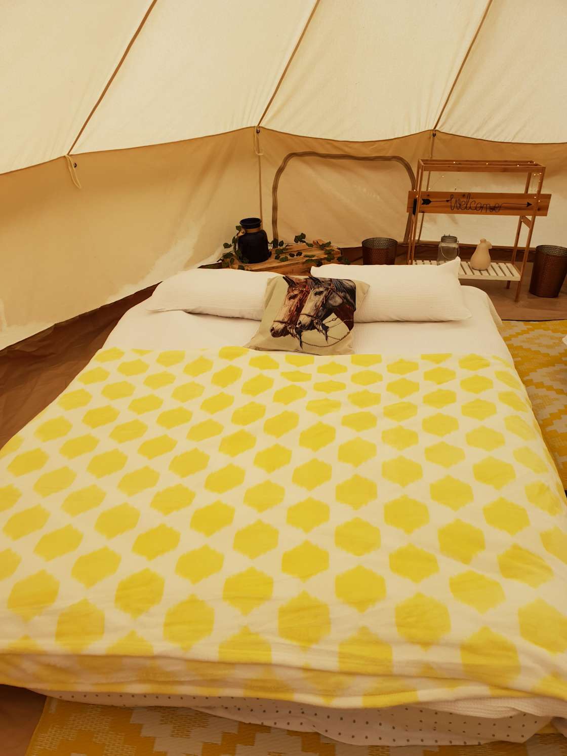 Hidden Gold Homestead - Hipcamp in Moffatdale, Queensland