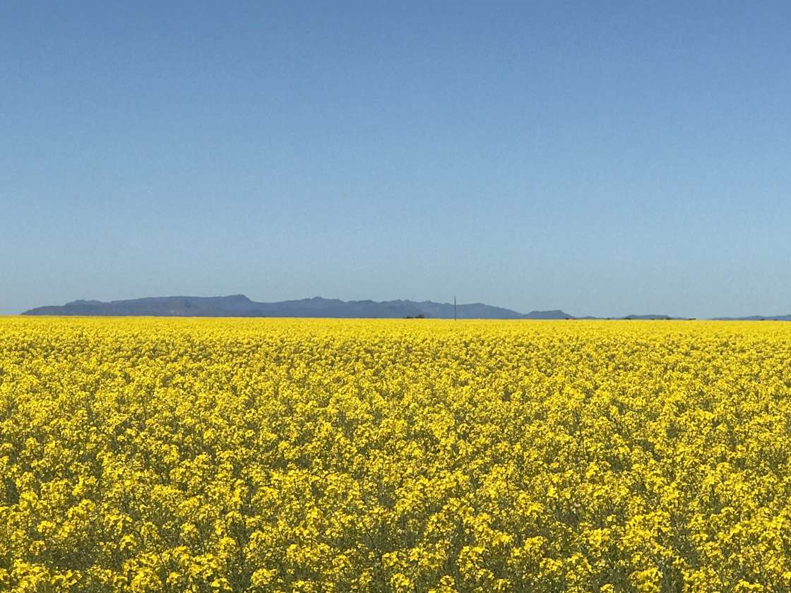 Wimmera Hub - Hipcamp in Pimpinio, Victoria