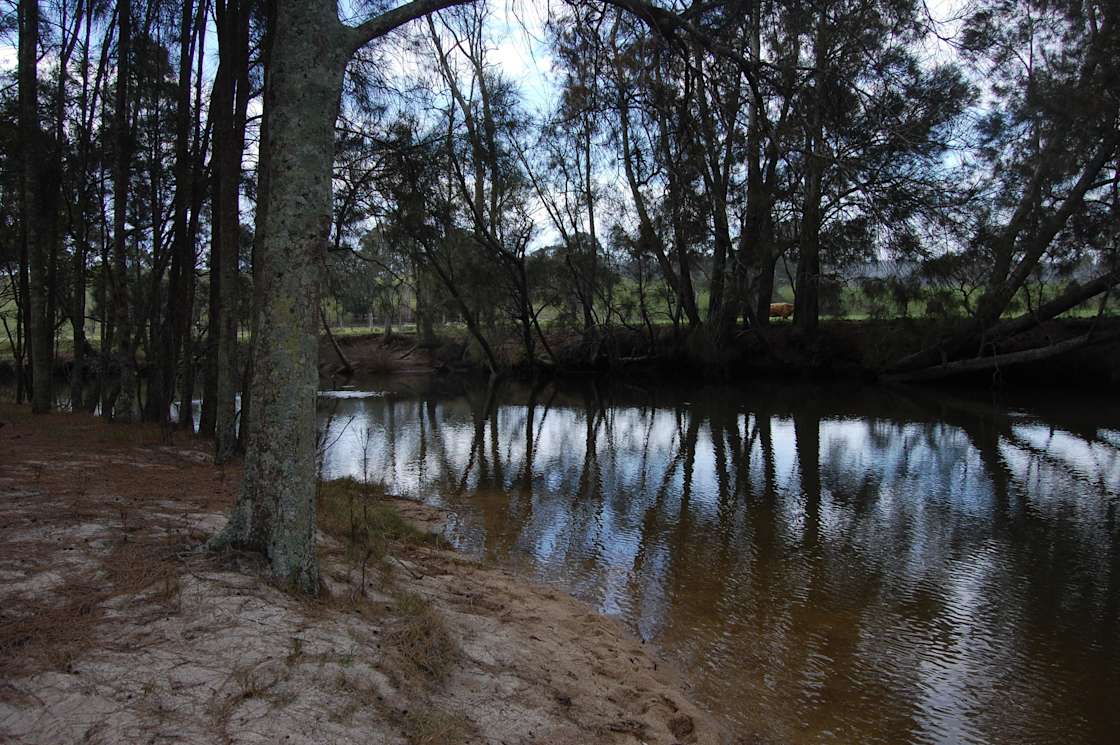 Tomakin River Camping - Hipcamp in Jeremadra, New South Wales