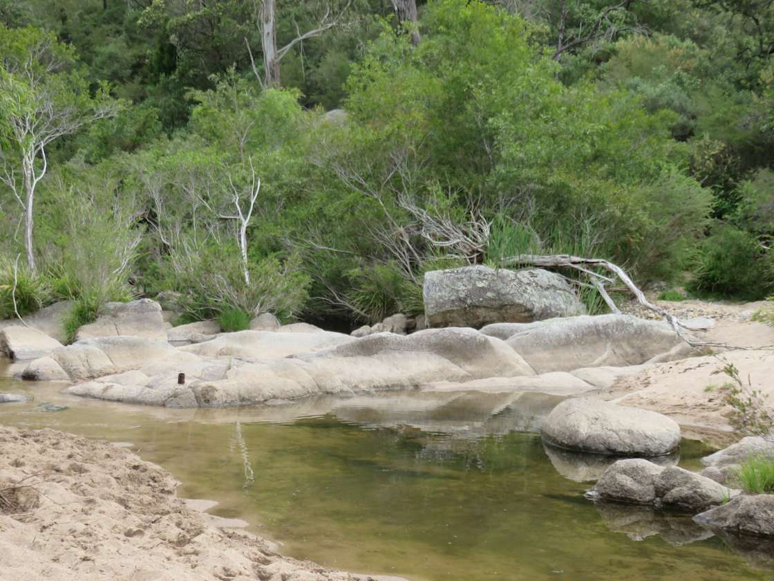 Willow Patch - Hipcamp in Towamba, New South Wales