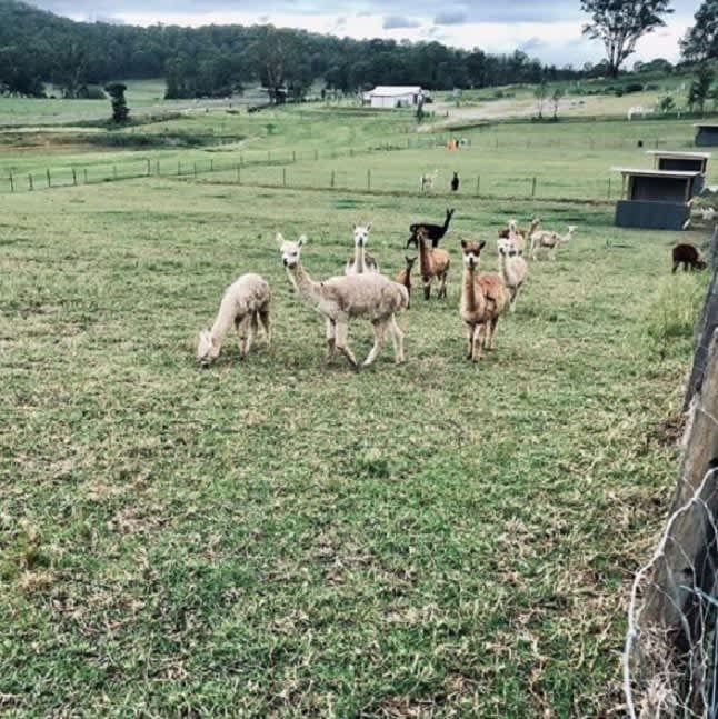 Mulla Villa Farm - Hipcamp in Wollombi, New South Wales