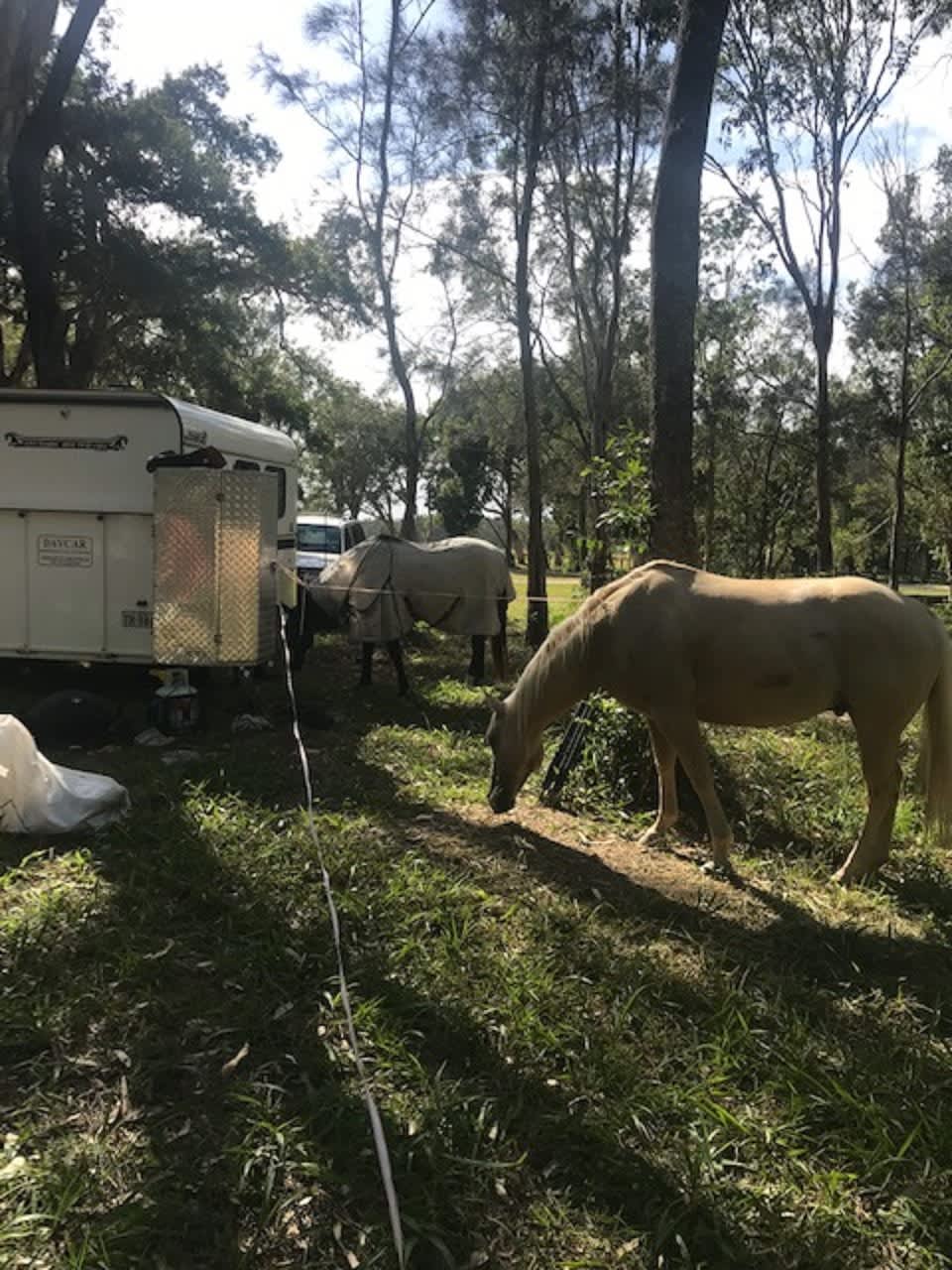 Corindi Beach Equestrian Reserve - Equestrian Only - Hipcamp in Corindi ...