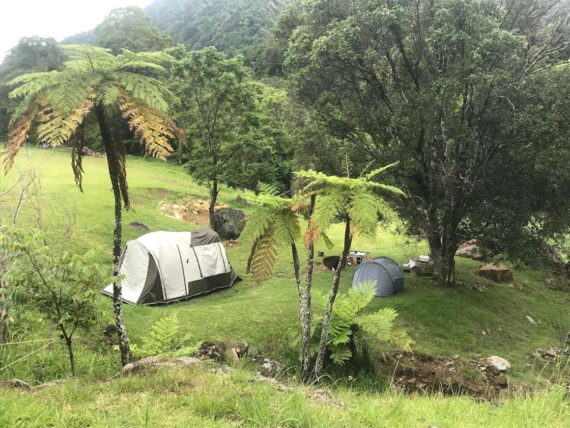 Natural Bridge Retreat - Hipcamp in Natural Bridge, Queensland