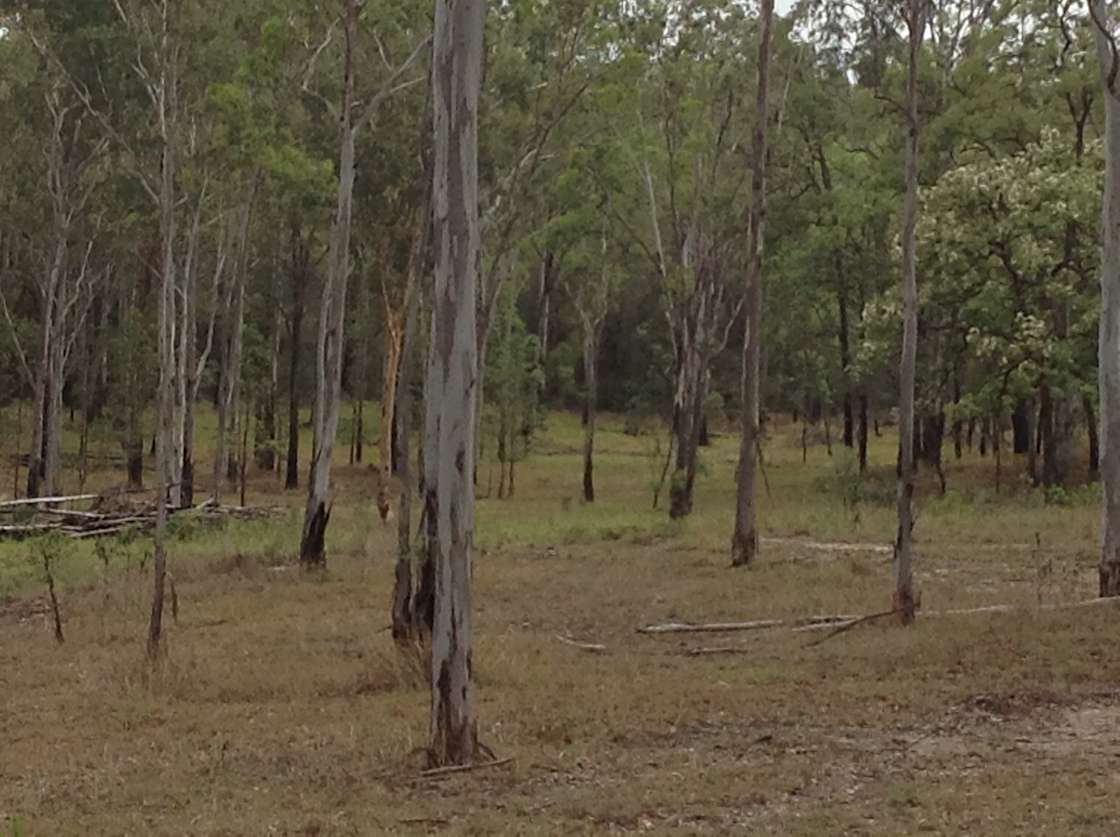 Triple CV - Camping Copmanhurst Clarence Valley - Hipcamp in Whiteman ...