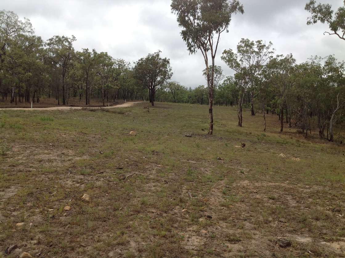 Triple CV - Camping Copmanhurst Clarence Valley - Hipcamp in Whiteman ...