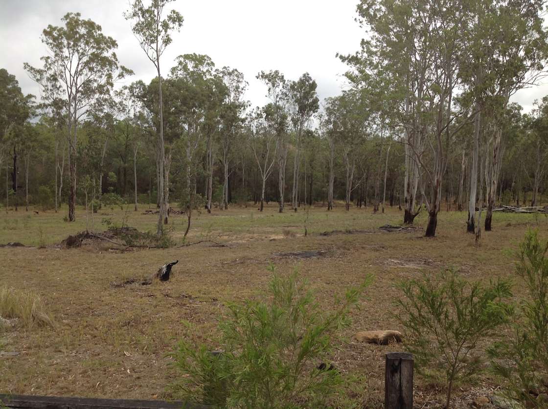 Triple CV - Camping Copmanhurst Clarence Valley - Hipcamp in Whiteman ...