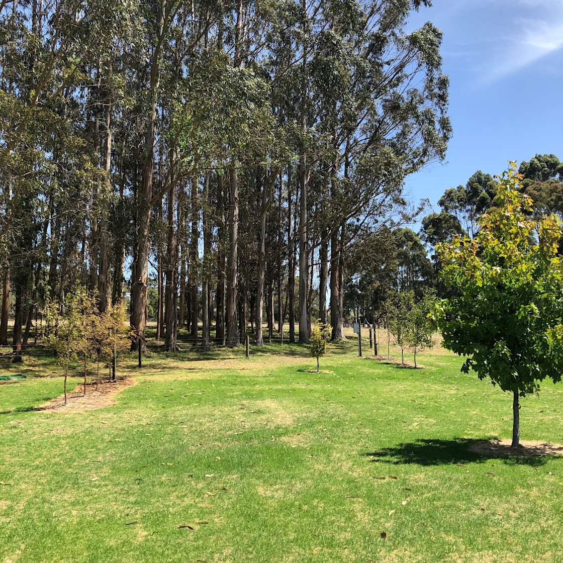 Rickety Gate Estate - Hipcamp in Denmark, Western Australia