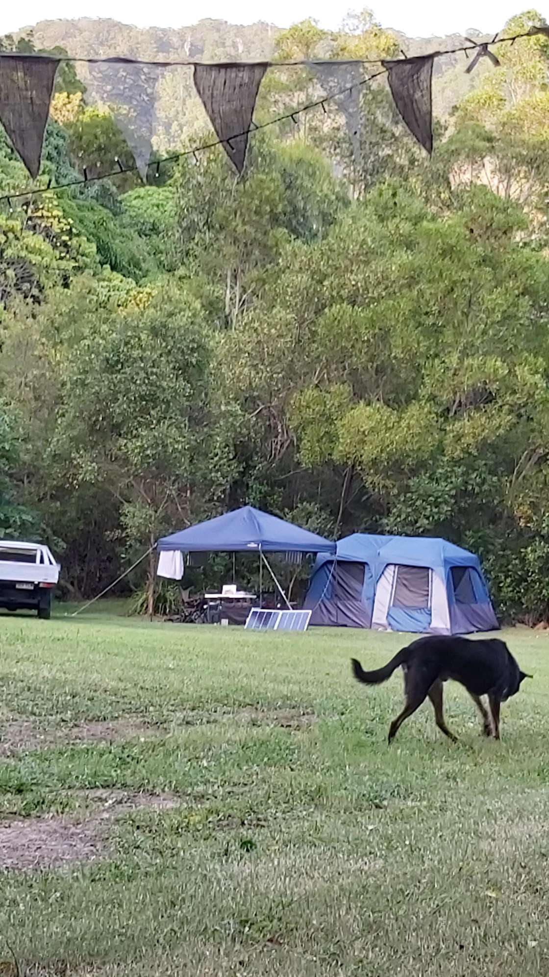 Talweg of Talley Valley on the Gold Coast - Hipcamp in Tallebudgera ...
