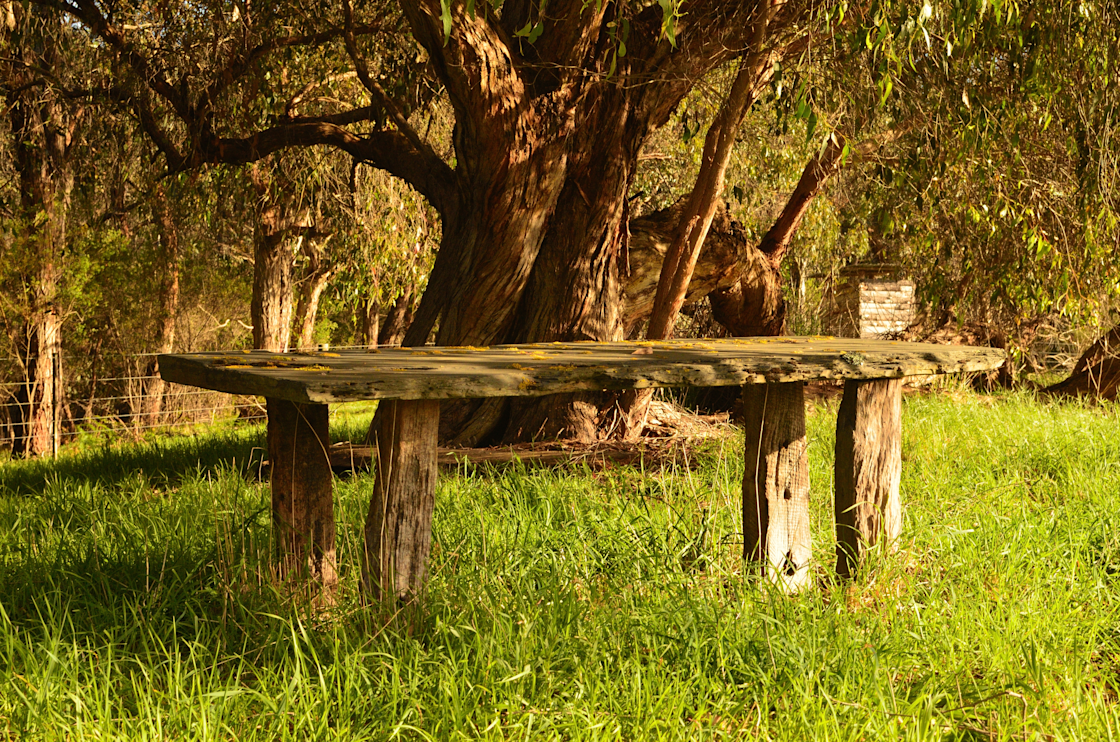 Minko Farm - Hipcamp in Mount Compass, South Australia