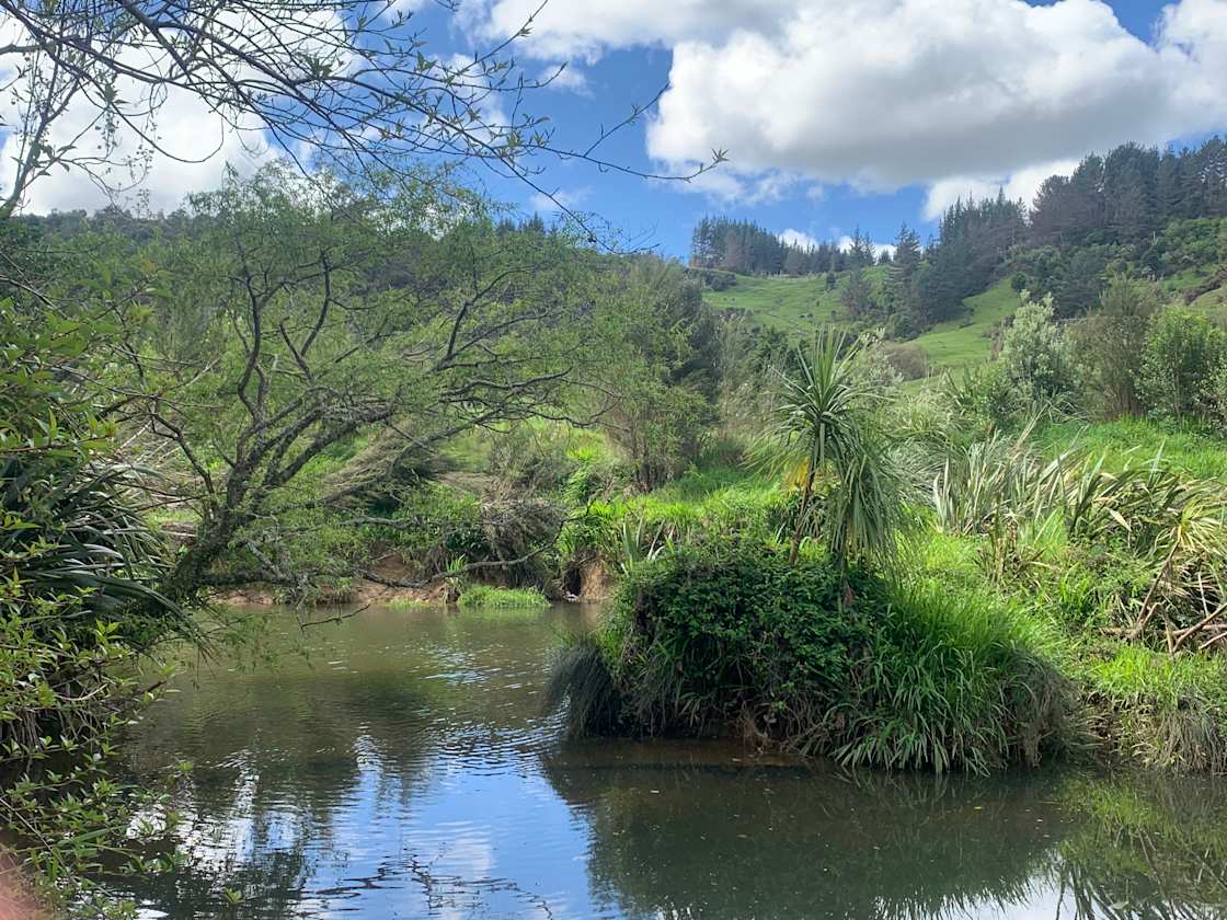 Camping in New Zealand: Best New Zealand Campgrounds 2023 | Hipcamp