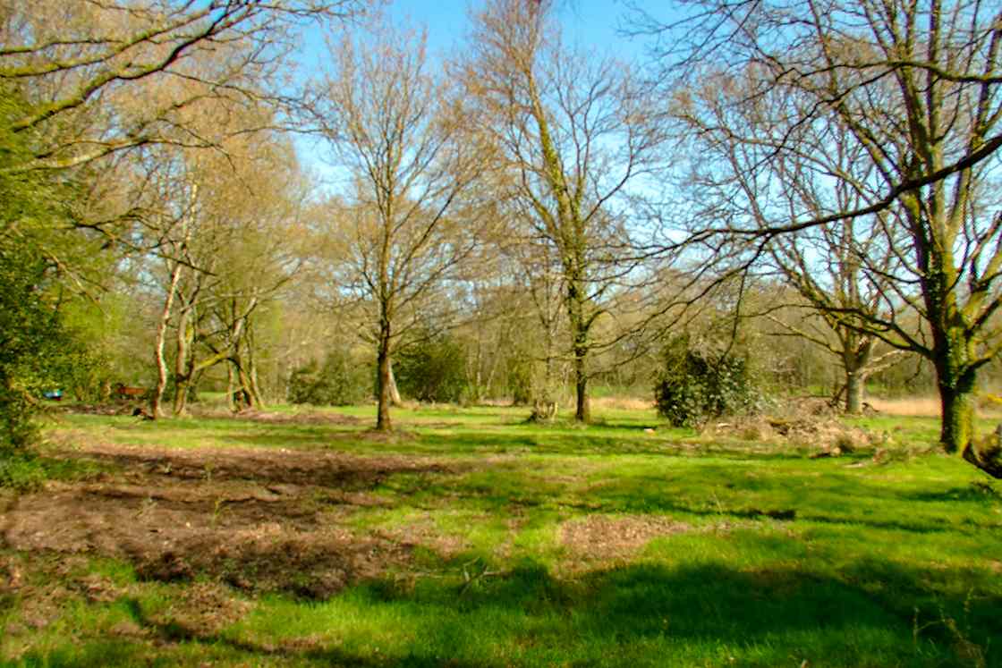 Meadow Tree Farm - Hipcamp in Saunderstown, Rhode Island