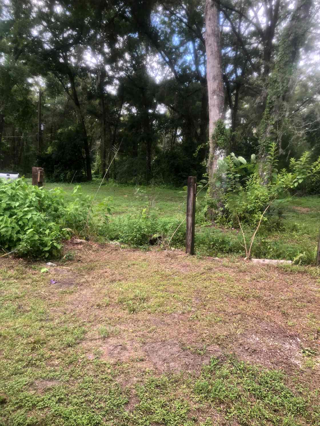 Positive Vibes Campground - Hipcamp in Bushnell, Florida