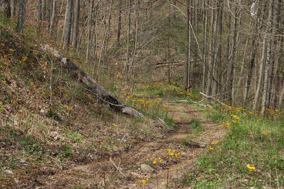The Ol' Mace Family Farm - Hipcamp in Charleston, West Virginia