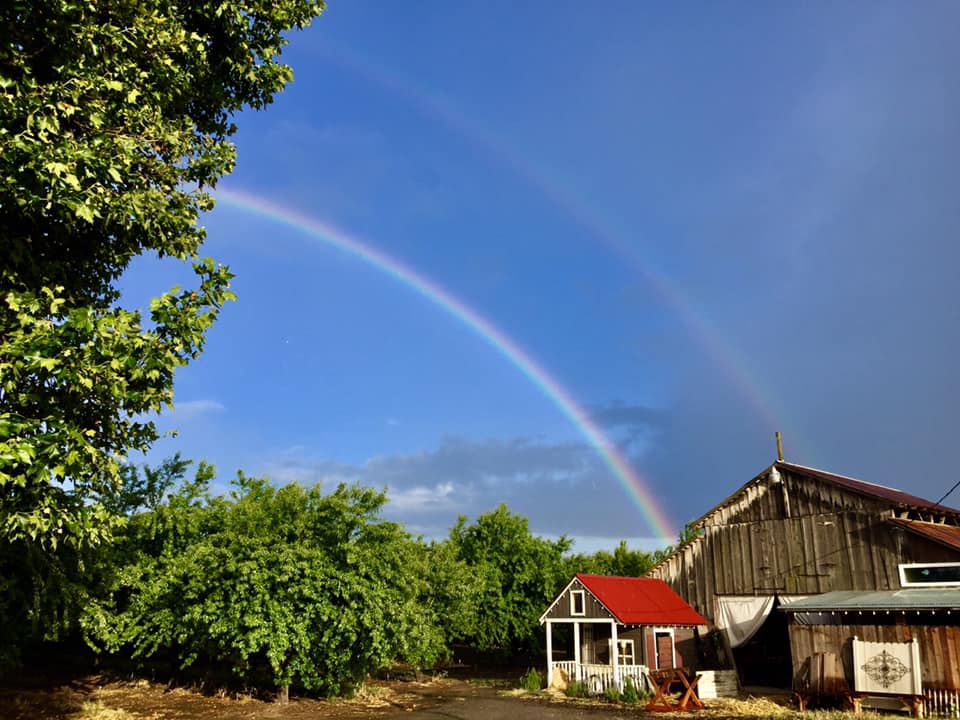 The Barn at White Blossom Ranch - Hipcamp in Oakdale, California
