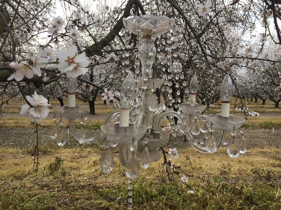 The Barn at White Blossom Ranch - Hipcamp in Oakdale, California