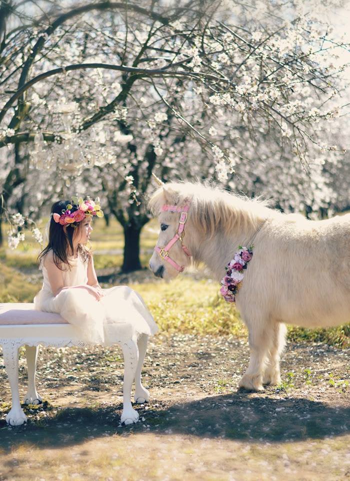 The Barn at White Blossom Ranch - Hipcamp in Oakdale, California