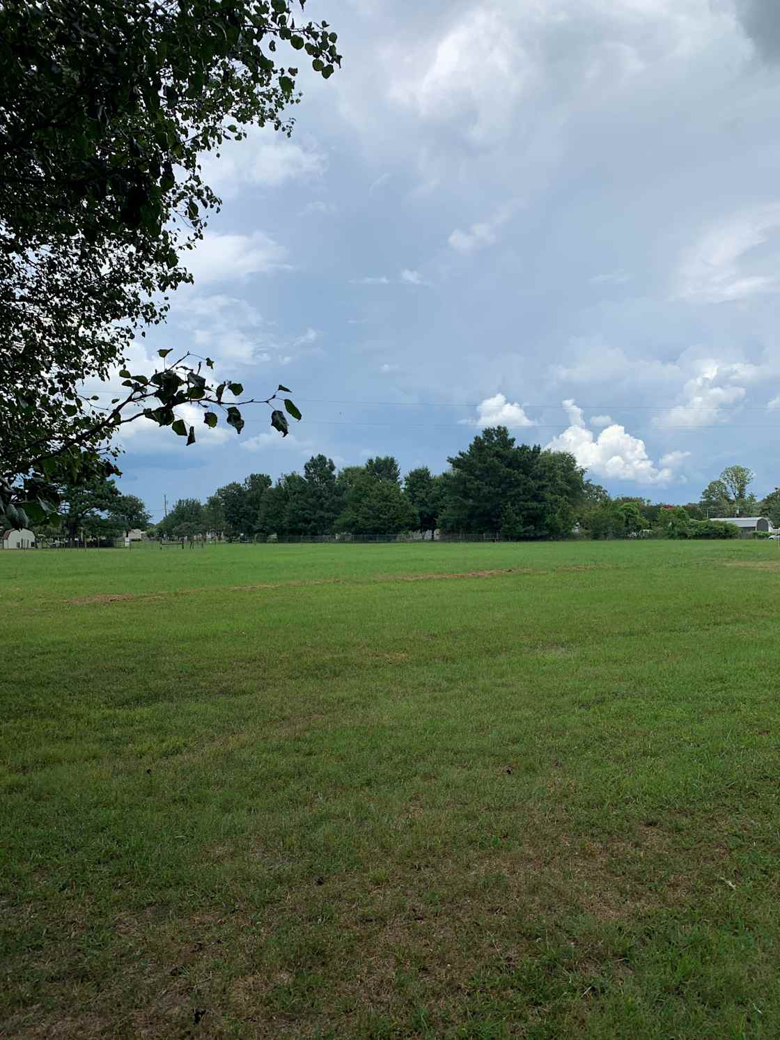 Stephanie L.’s Land - Hipcamp in Winchester, Tennessee
