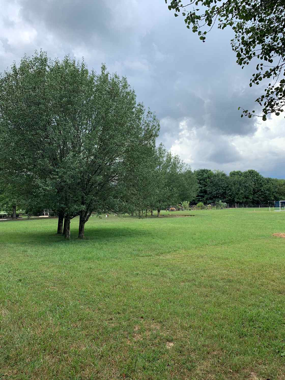 Stephanie L.’s Land - Hipcamp in Winchester, Tennessee