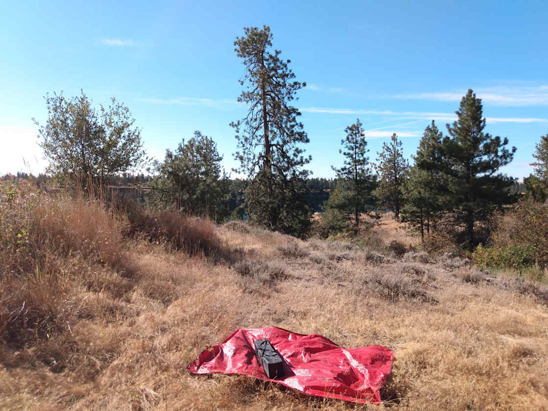 Williams Lake Camping - Hipcamp in Cheney, Washington