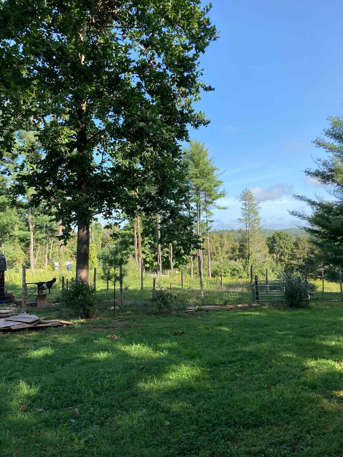 Private 4 acre Farm .5M off i84 - Hipcamp in Southbury, Connecticut