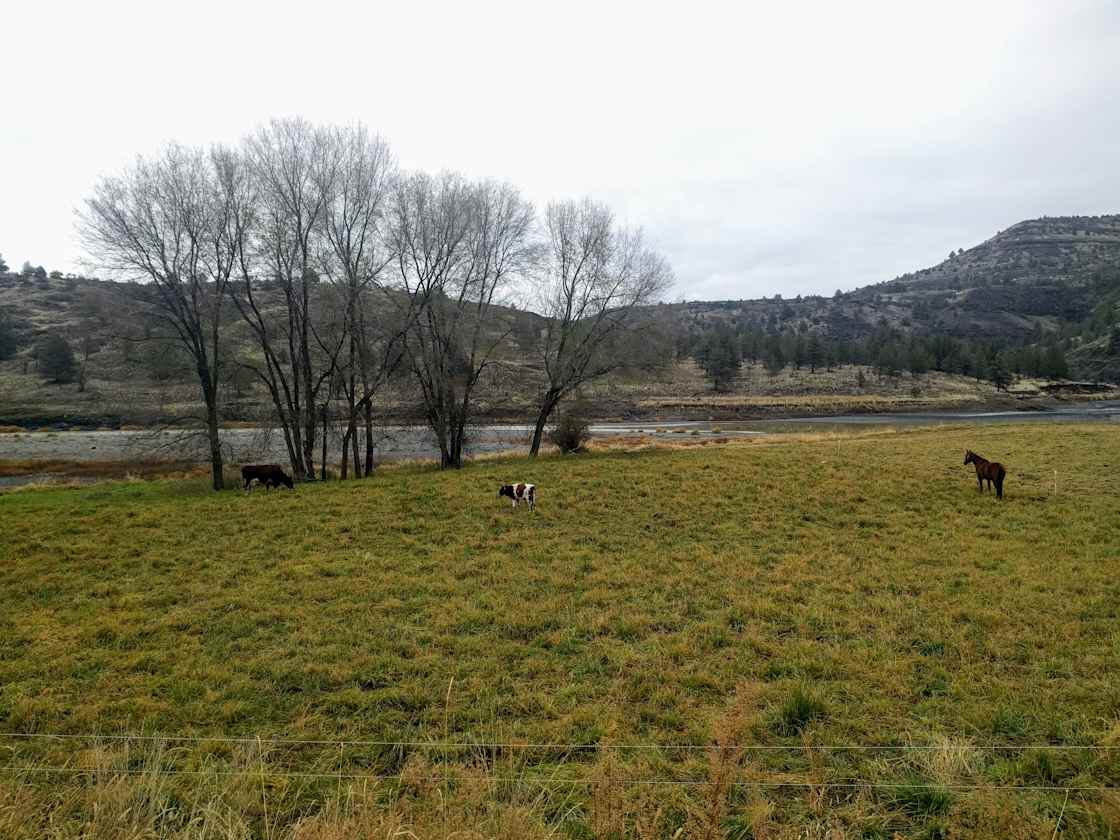 Circle W Ranch - Hipcamp in Spray, Oregon