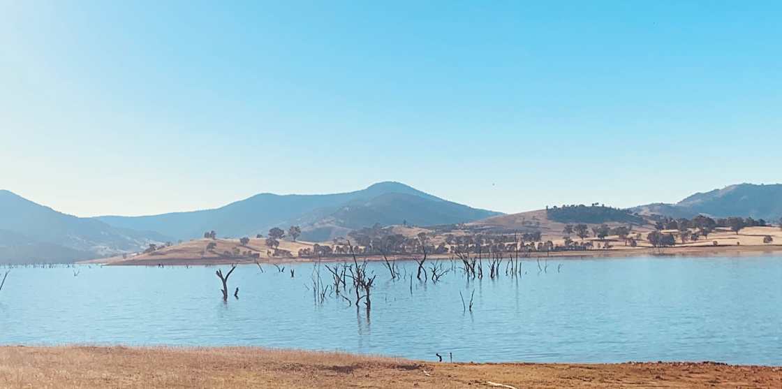 Scrubby Hill - Hipcamp in Bowna, New South Wales
