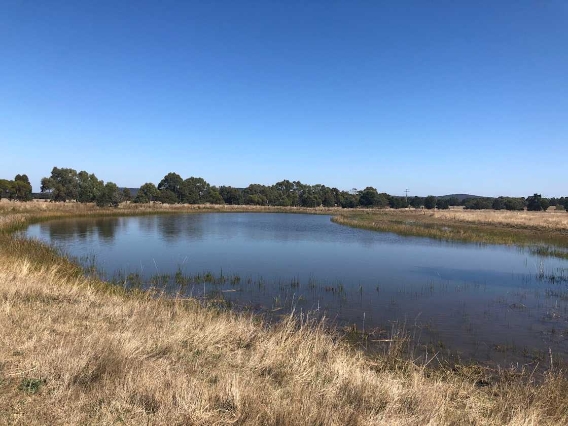 Mount Egerton Dam Camp - Hipcamp in Mount Egerton, Victoria