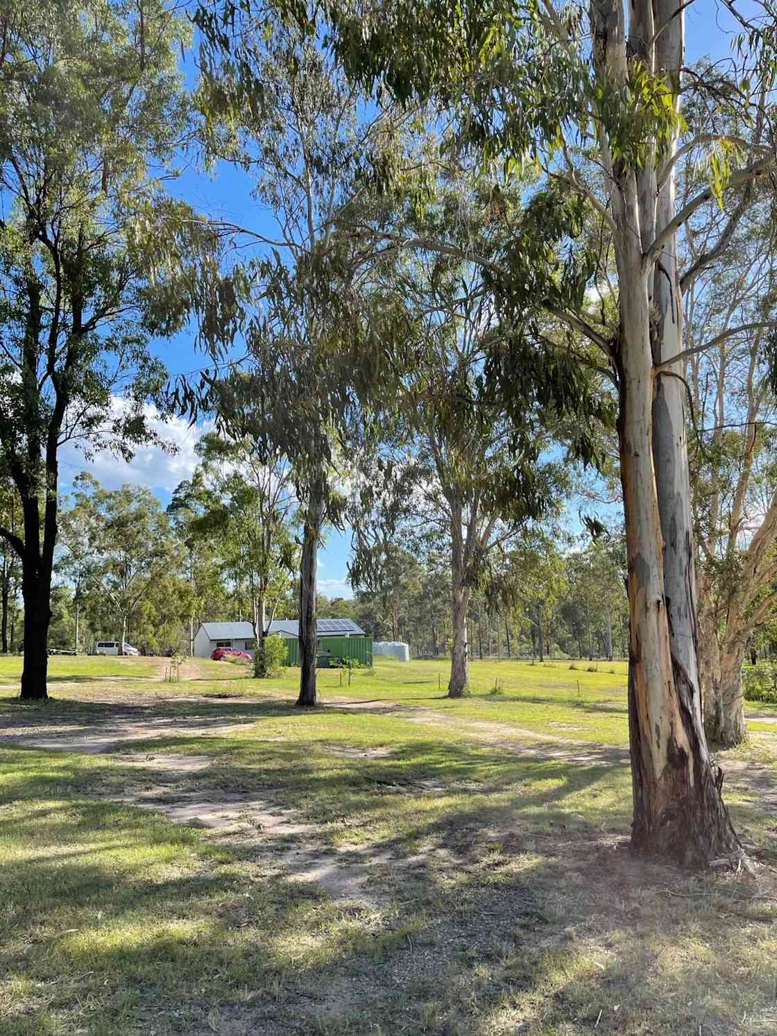 Troy D.’s Land, Curra - Hipcamp in Curra, Queensland