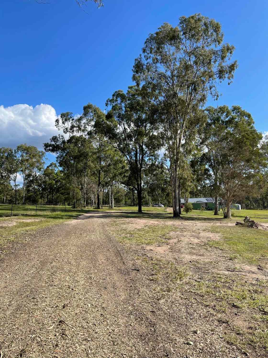 Troy D.’s Land, Curra - Hipcamp in Curra, Queensland