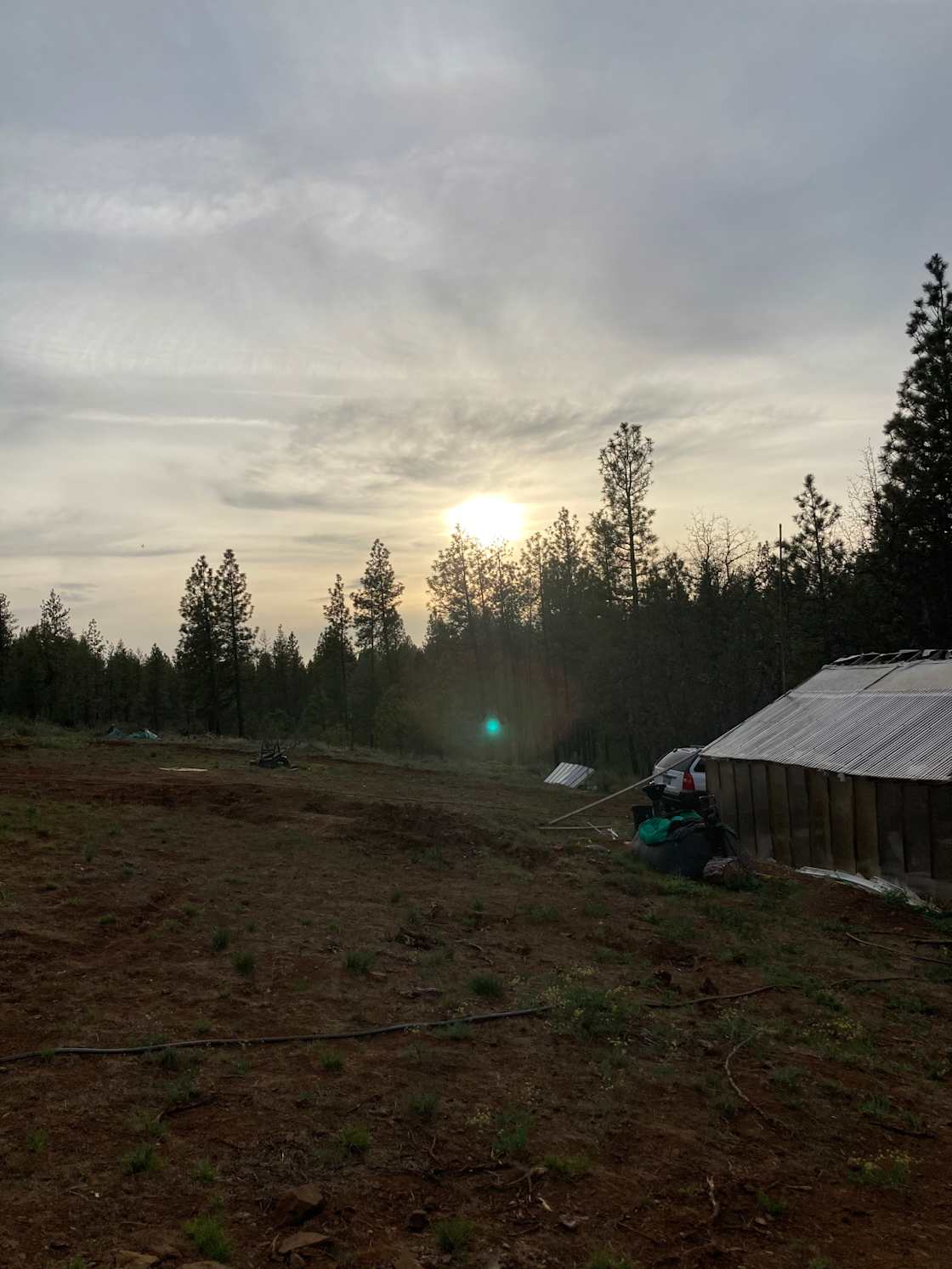 Pine, oak, acorn, elderberry trees - Hipcamp in Goldendale, Washington