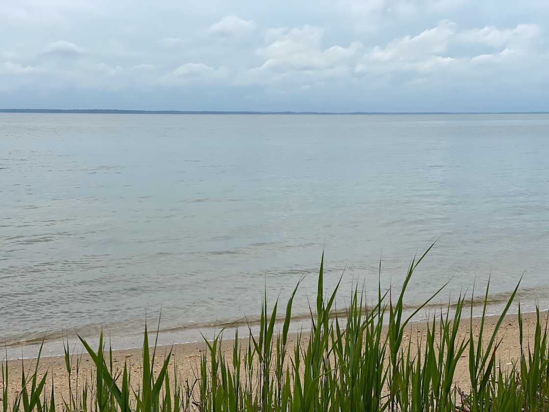 St. George Island Beach - Hipcamp in Piney Point, Maryland