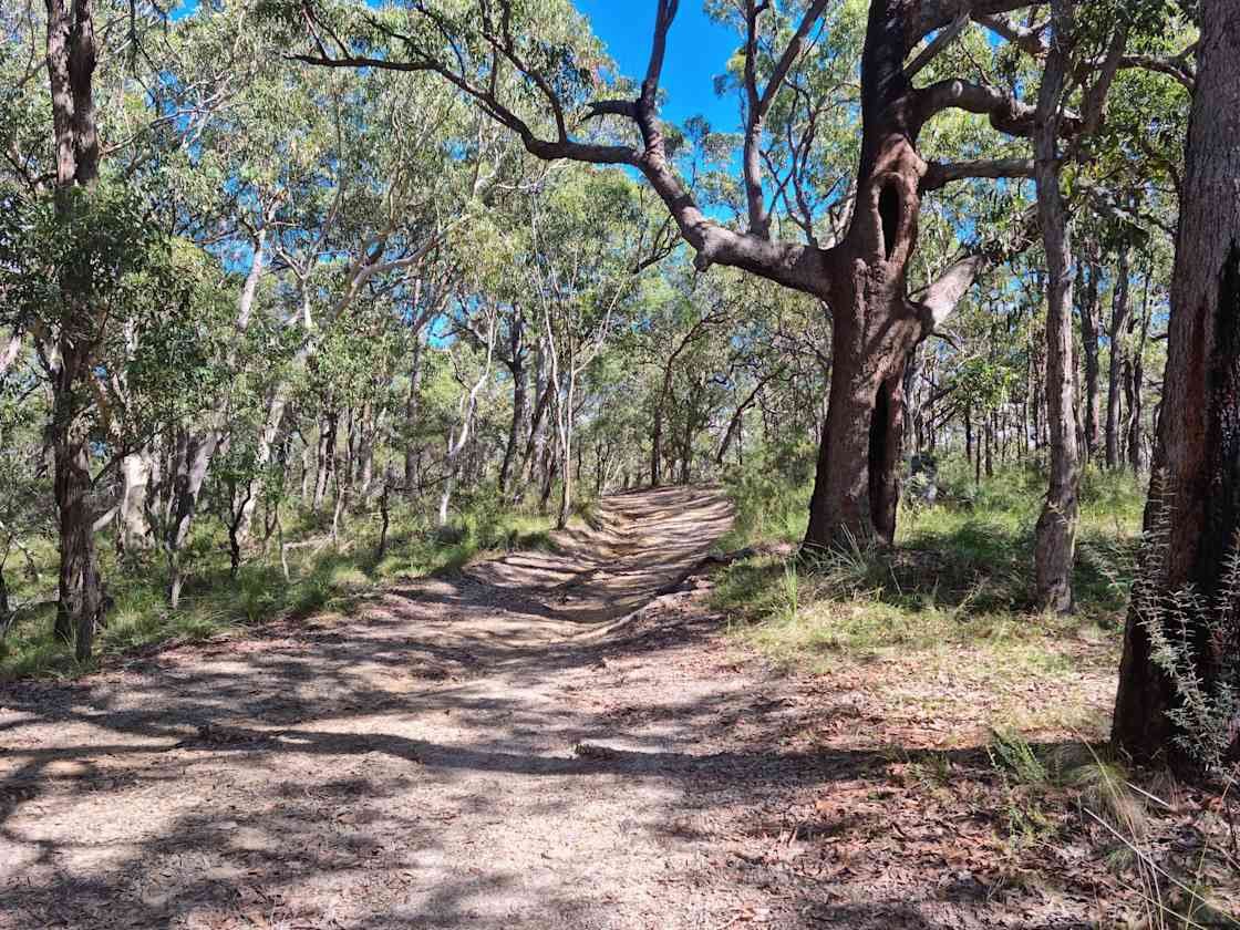 Yarrawonga Park - Hipcamp in Brightwaters, New South Wales