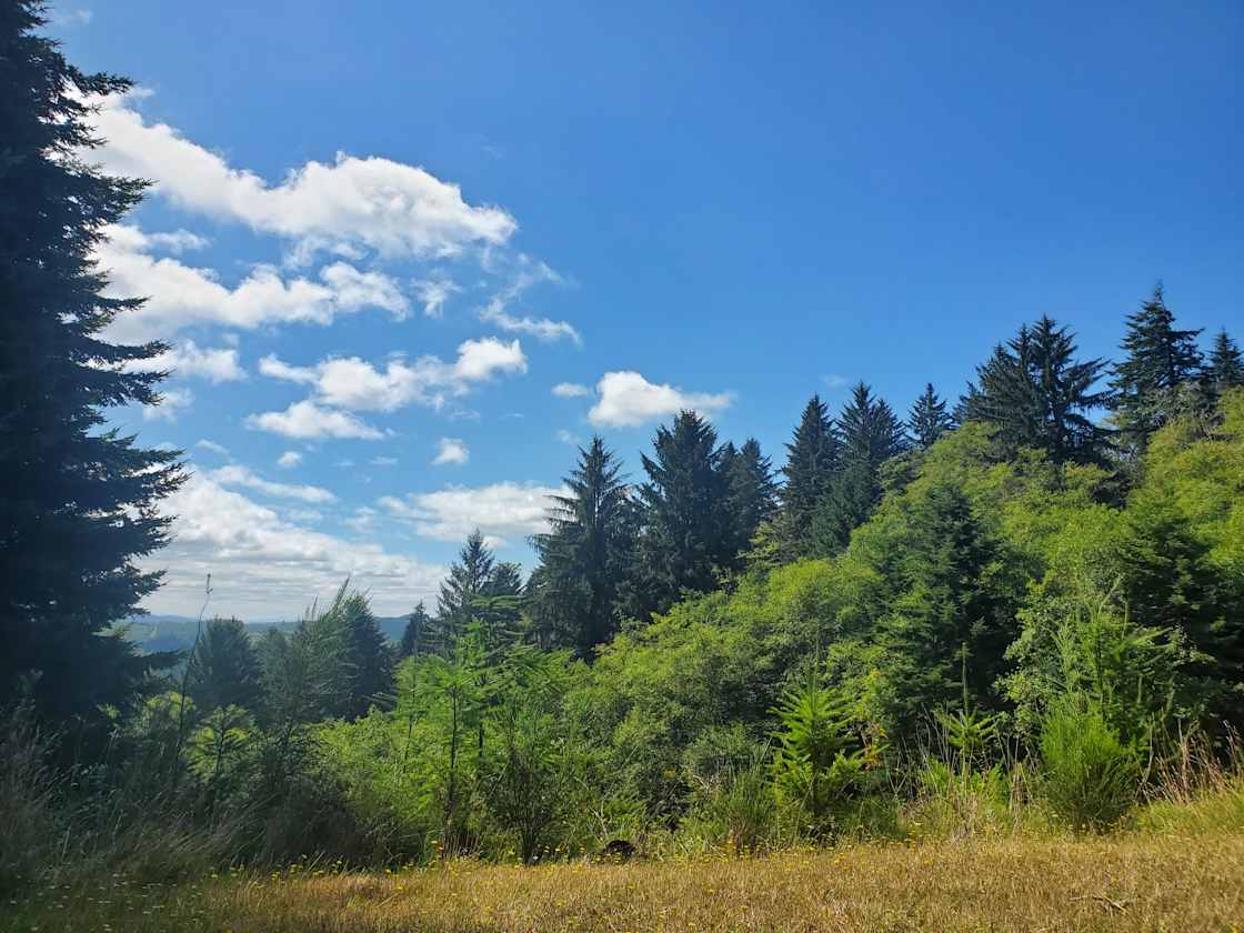 Cox Family Farm - Hipcamp in Coos Bay, Oregon