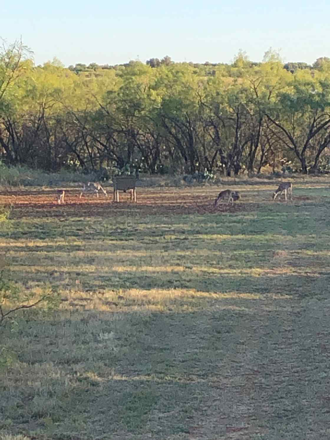 Relaxing and Fun Retreat - Hipcamp in Lueders, Texas
