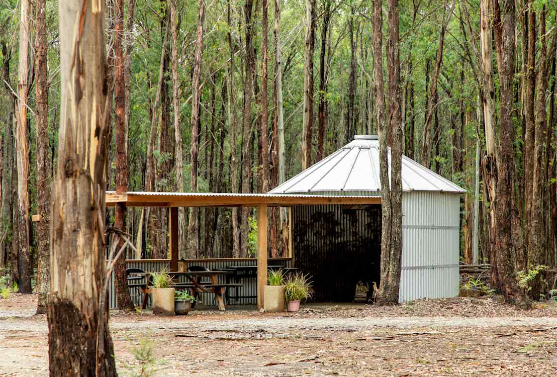 The Local-Bendoc Camping ground - Hipcamp in , Victoria