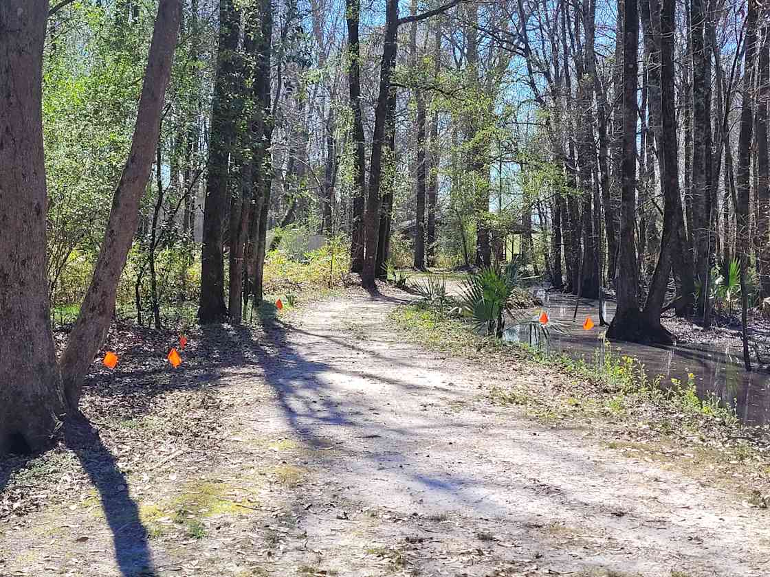 Healing Springs Country Camping - Hipcamp in Blackville, South Carolina