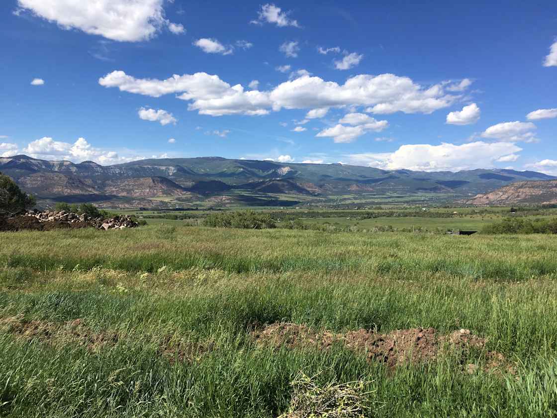 Today We Camp - Hipcamp in Collbran, Colorado