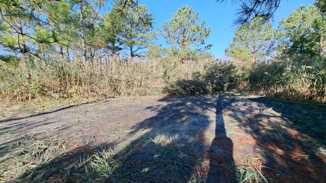 Deal Island Hideaway - Hipcamp in Deal Island Historic District, Maryland