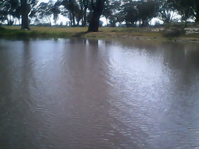 Locksley Stud - Hipcamp in Locksley, Victoria