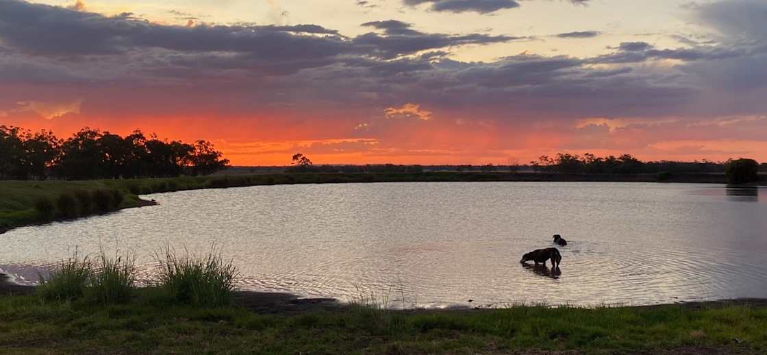 Felton Farm - Hipcamp in Clifton, Queensland