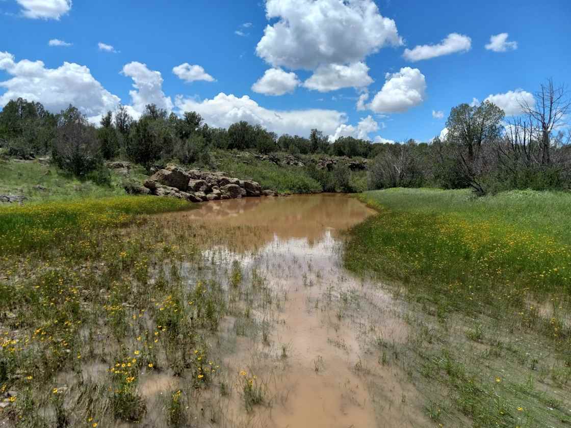 Partridge Creek Wilderness Ranch - Hipcamp in Williams, Arizona